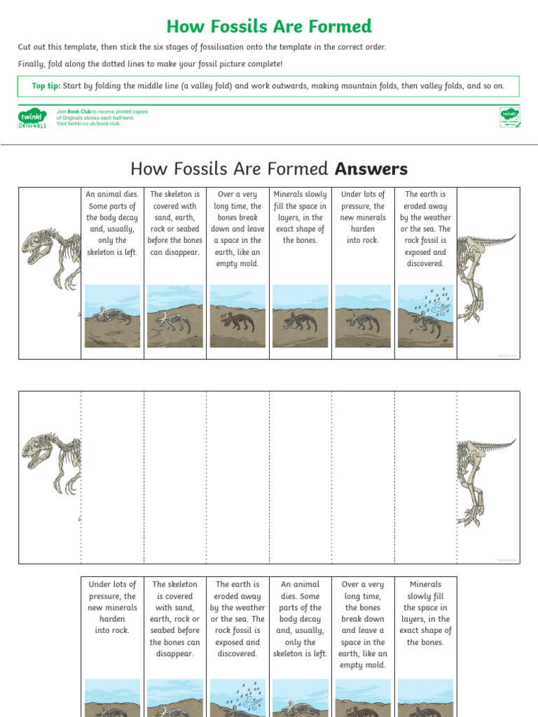 ordering-the-stages-of-fossilisation-ks2-activity | PDF | Fossil | Rock ...