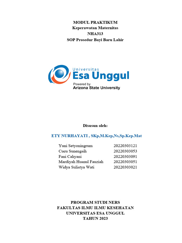 MODUL SOP Bayi Baru Lahir | PDF | Pengembangan Diri | Kesehatan Holistik