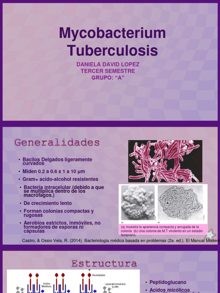 Mycobacterium Tuberculosis | Descargar gratis PDF | Mycobacterium | Tuberculosis