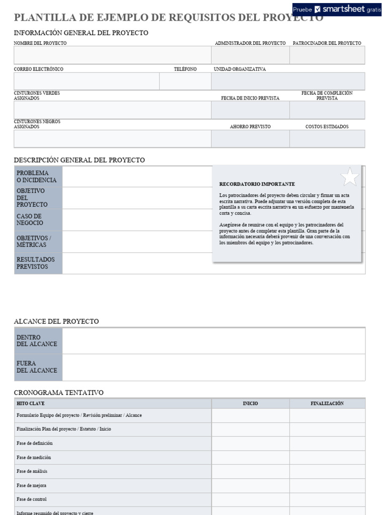 IC Project Requirements Example 11338 - WORD - ES | PDF