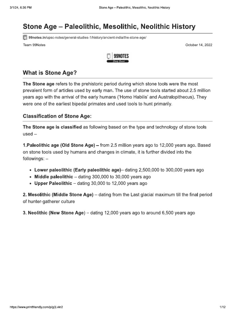 Stone Age Notes | PDF