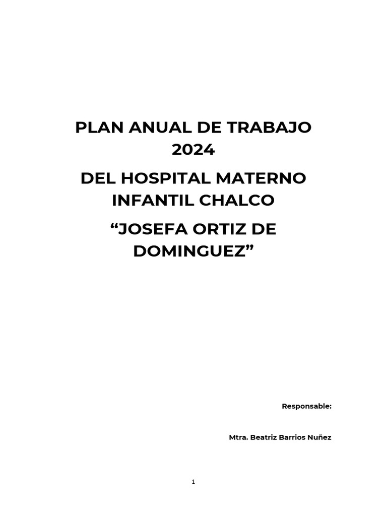 Plan Anual de Trabajo 2024 | Descargar gratis PDF | Hospital | Enfermería