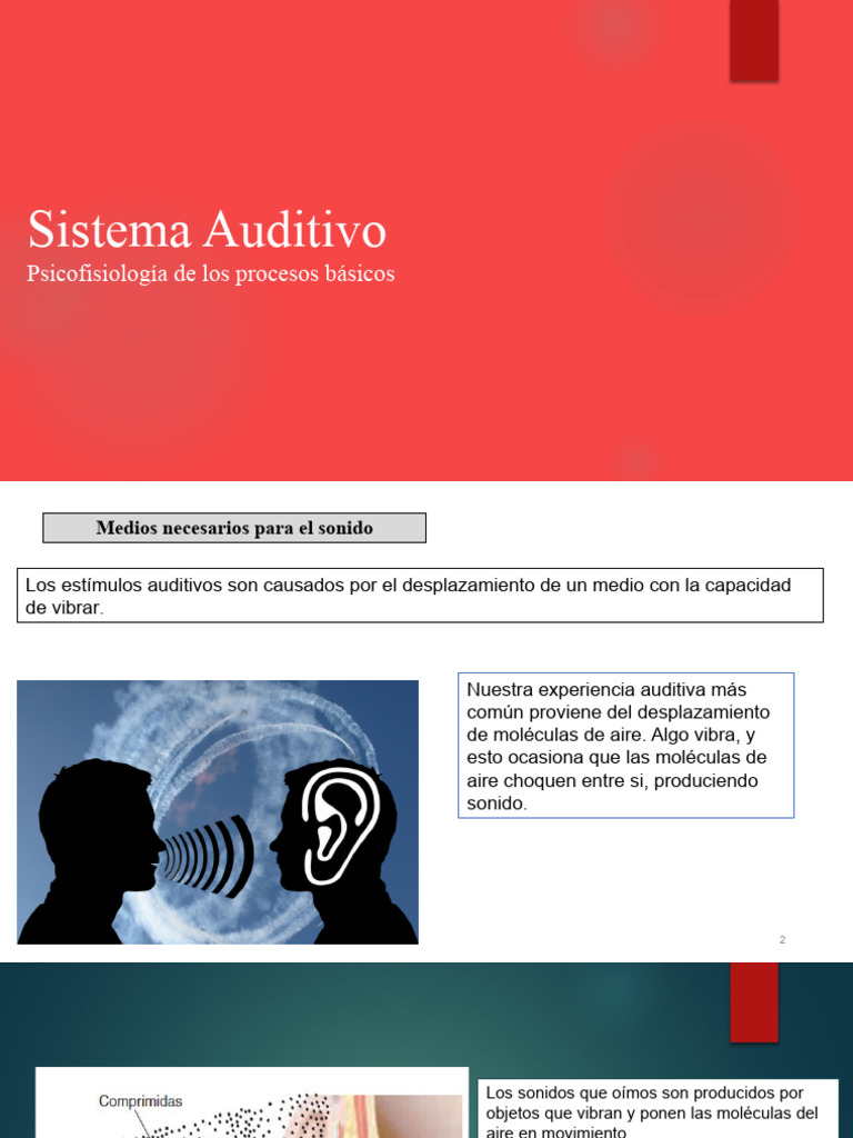 Estimulo y Anatomia Oido | PDF | Oído | Sonido