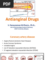 Normal Values of TTE - Echopedia | PDF | Ventricle (Heart) | Heart Valve