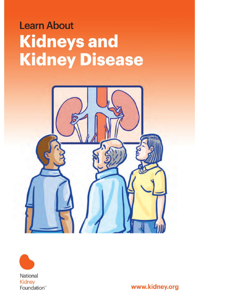 Kidney 1 | PDF