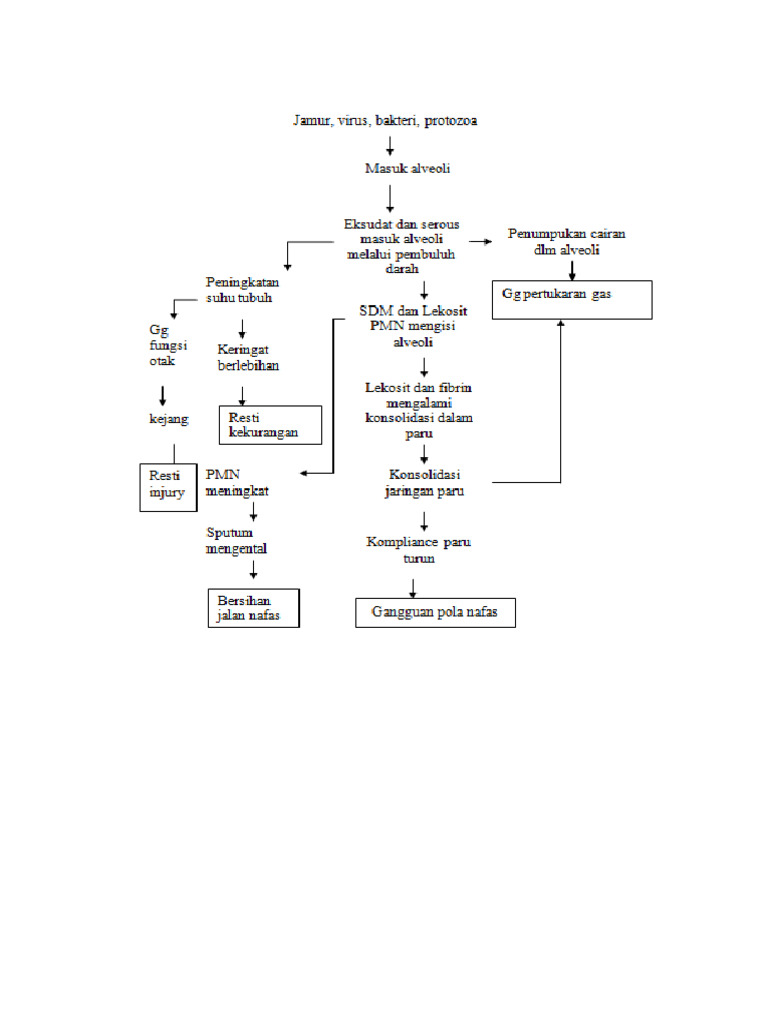 Pathway Bronkopneumonia - PK2 Marsitoh,S.kep | PDF