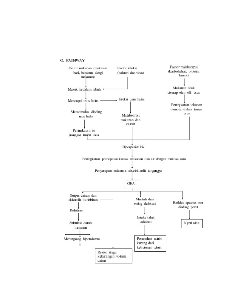 Pathway Diare - PK2 Marsitoh, S.kep | PDF