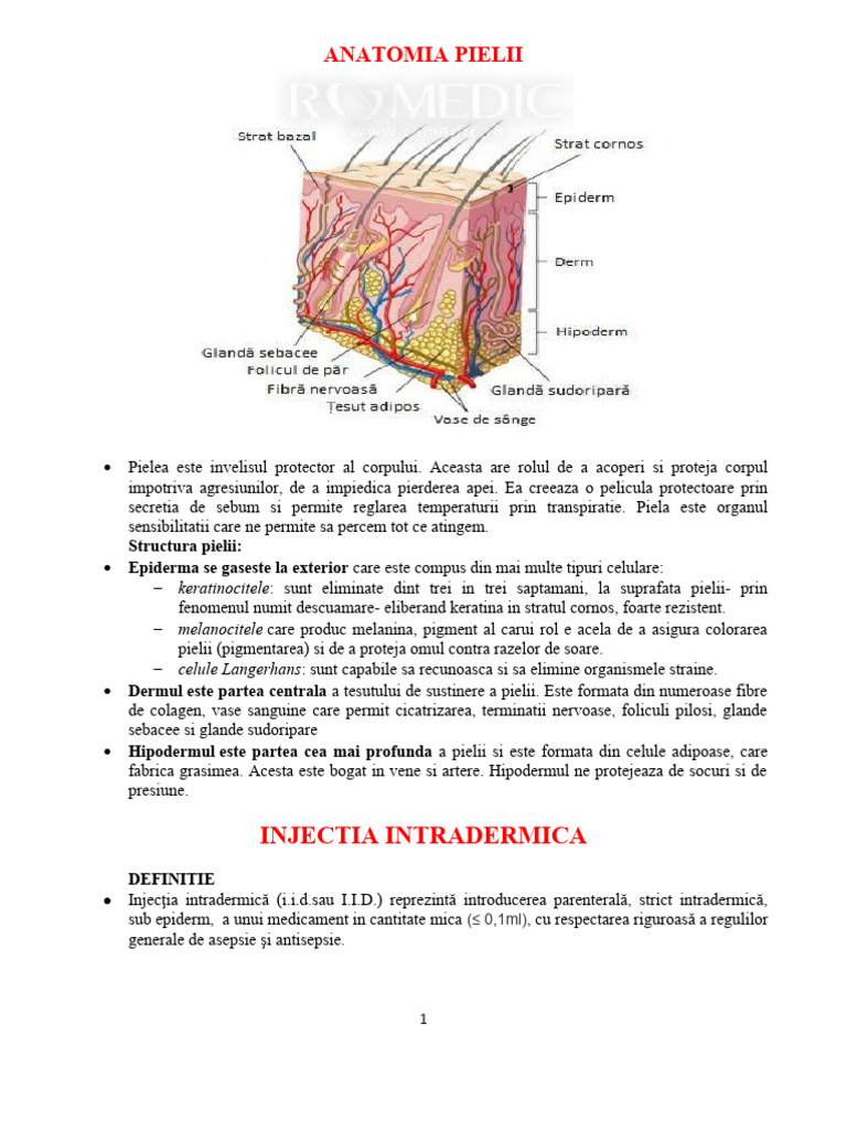 Injectia Id | PDF