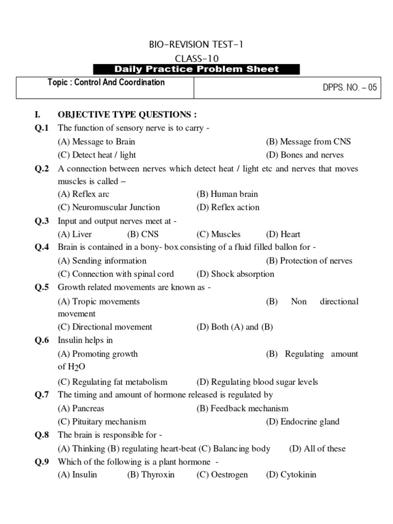 Control and Coordination Test for Class 10 | PDF | Neuron | Axon