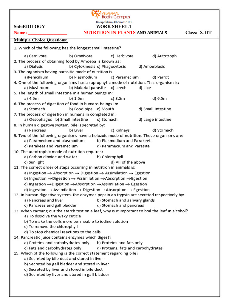 X BIOLOGY (Life Process) WS-1-3 | PDF | Digestion | Cellular Respiration