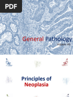 Understanding the Two-Hit Hypothesis | PDF | Tumor Suppressor Gene | Cancer