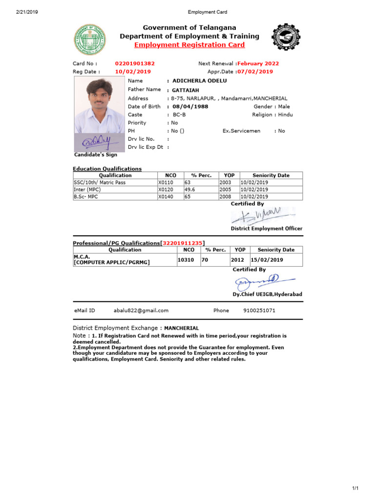 Employment Card | PDF