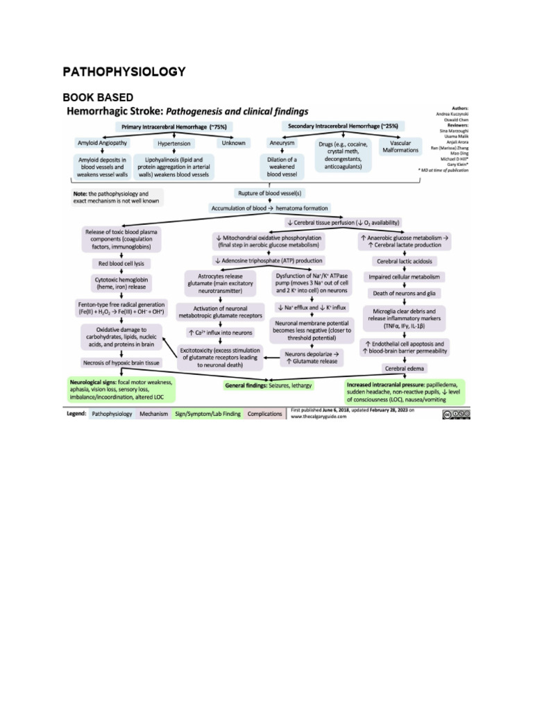 Stroke Pathophysio | PDF | Medical Specialties | Clinical Medicine