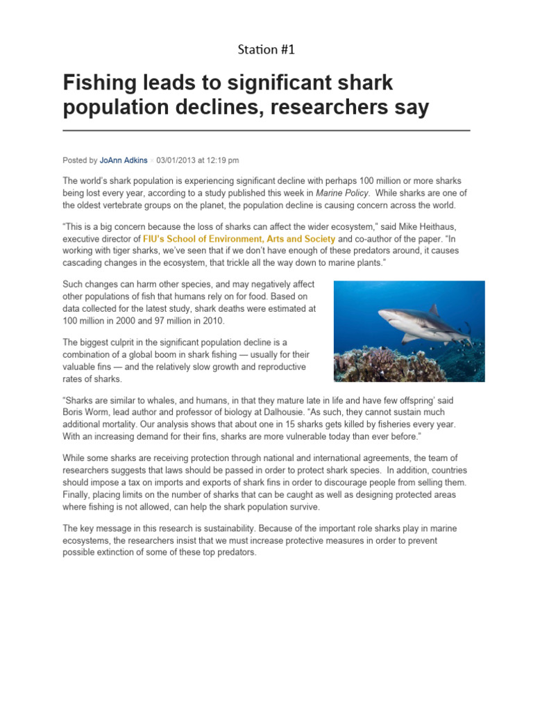 Fishing Leads To Significant Shark Population Declines, Researchers Say ...