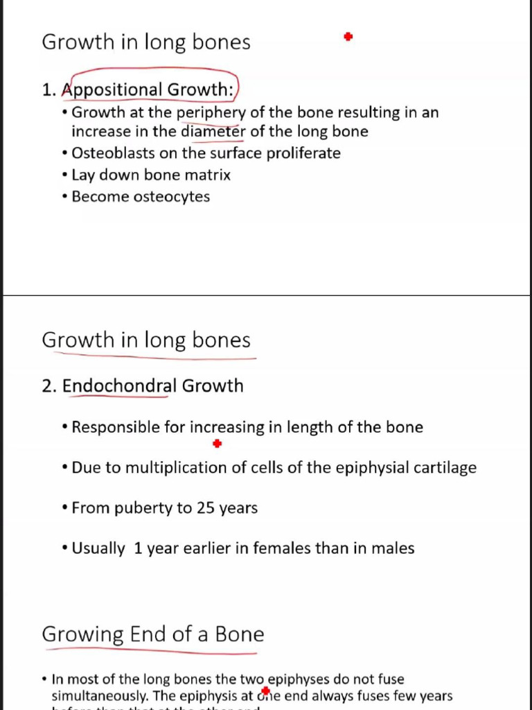 BONE | PDF