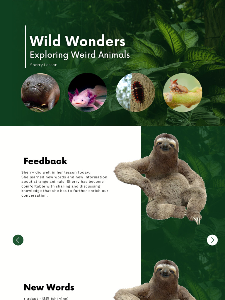 Sherry Lesson Weird Animals 1 | PDF | Zoology