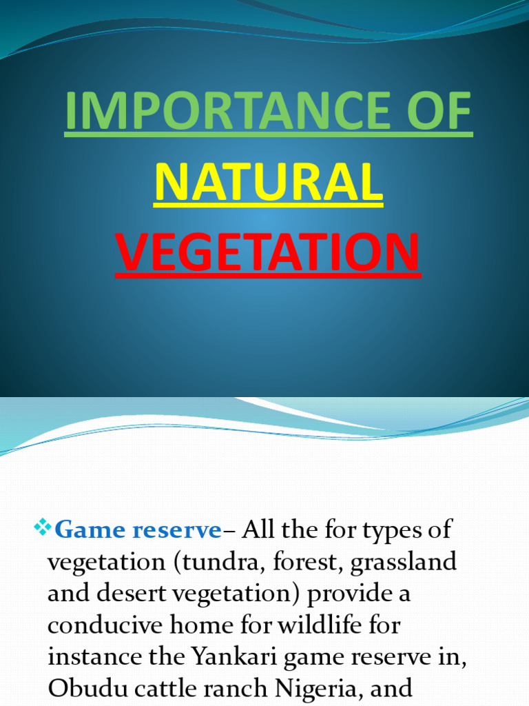 Importance of Natural Vegetation | PDF