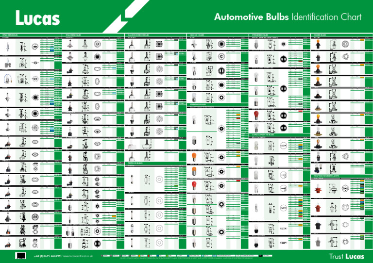 Lucas Bulb Wallchart en | PDF