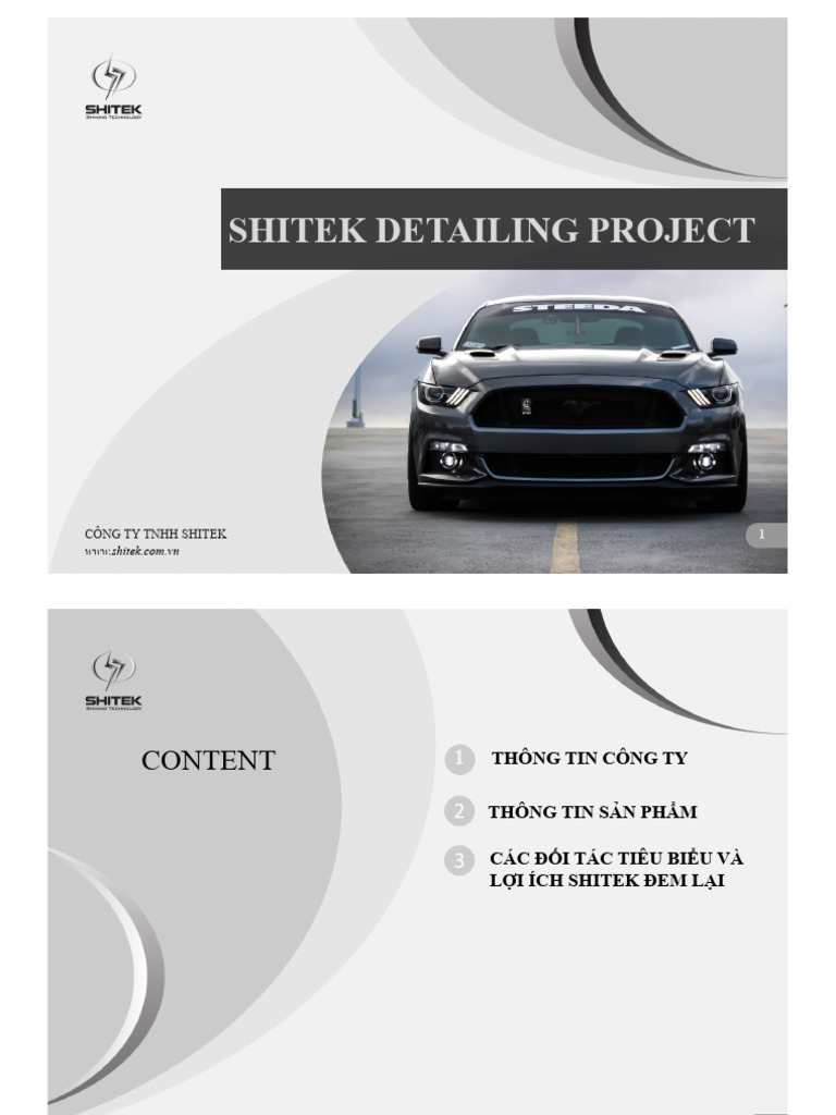 DETAILING PROJECT - SHITEK | PDF