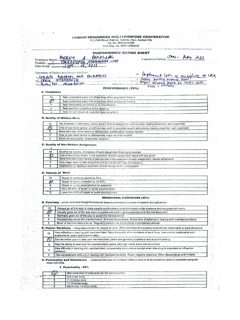 Perforamance Rating | PDF