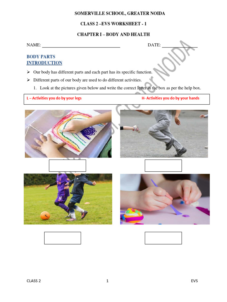 Class 2 Evs - Chapter 1 - Worksheet-Body and Health | PDF