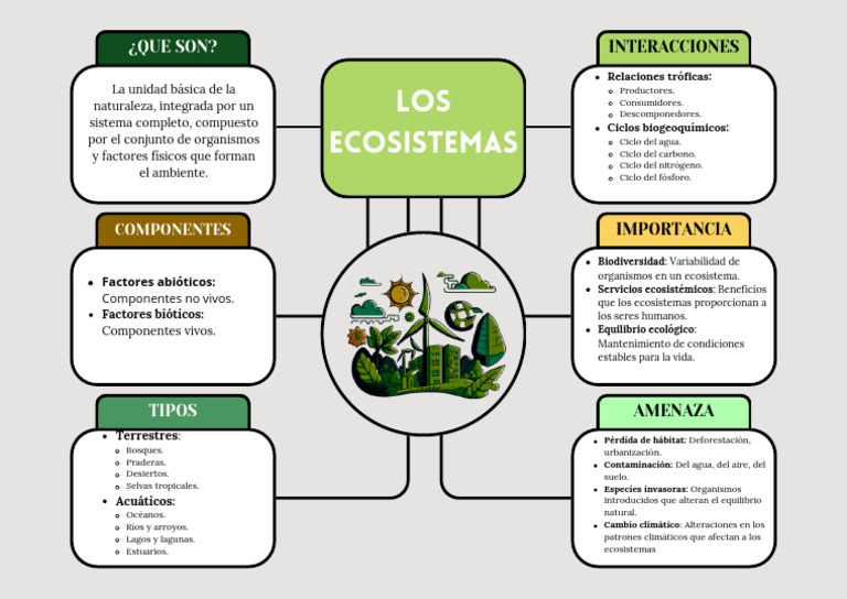 Organizador Grafico de ECOSISTEMAS | PDF