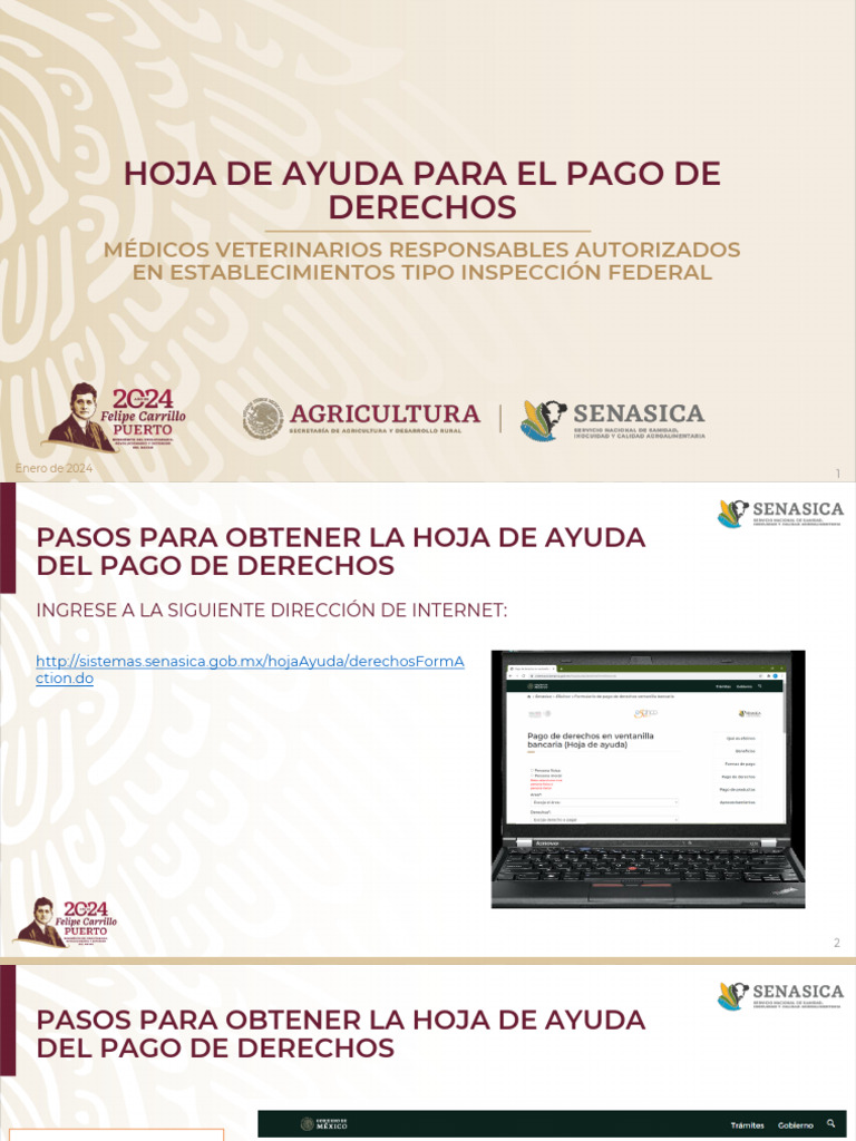 Hoja de Ayuda para Pago de Derechos 2024 | PDF