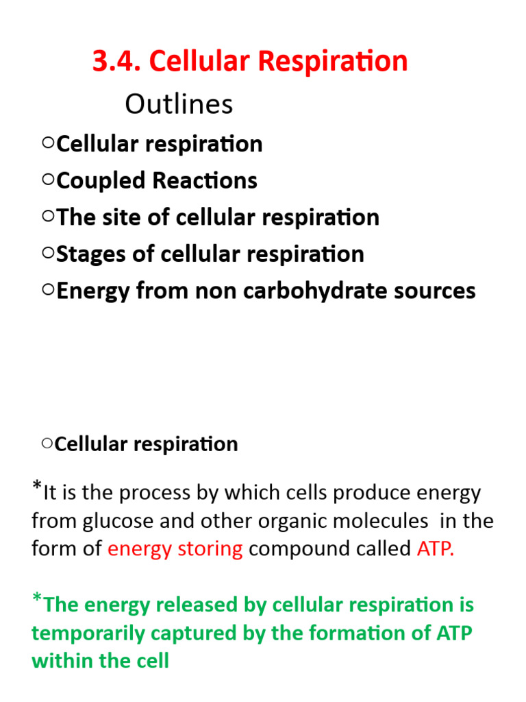 Cellular Respiration: ATP Production Process | PDF | Cellular ...