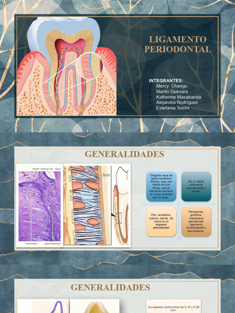 Ligamento Periodontal Final | PDF | La matriz extracelular | Anatomía