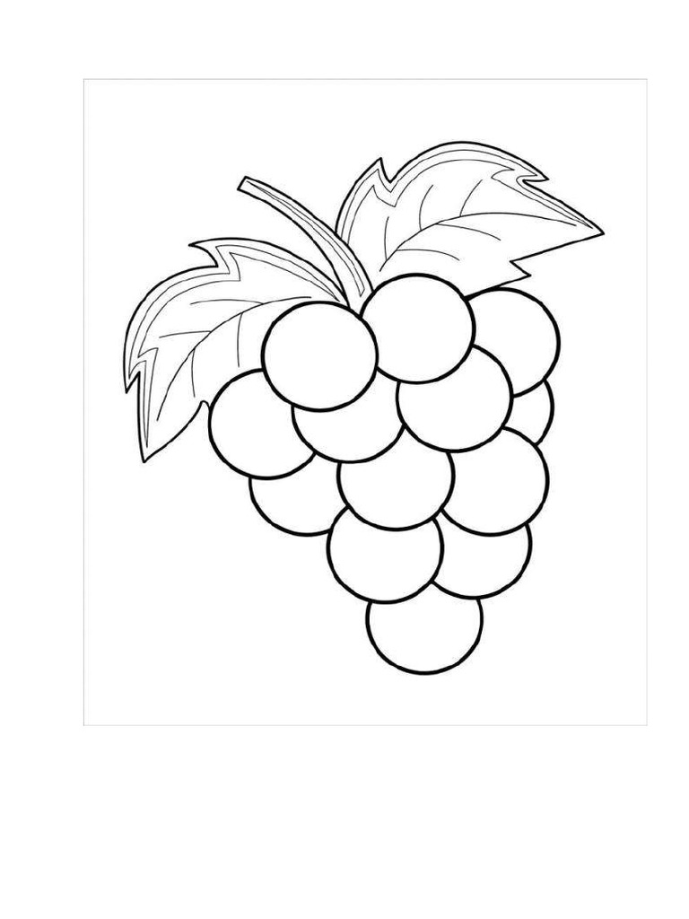 Bo 12 Buc Tranh To Mau Cac Loai Trai Cay Cho Be Tu Duy Sang Tao | PDF