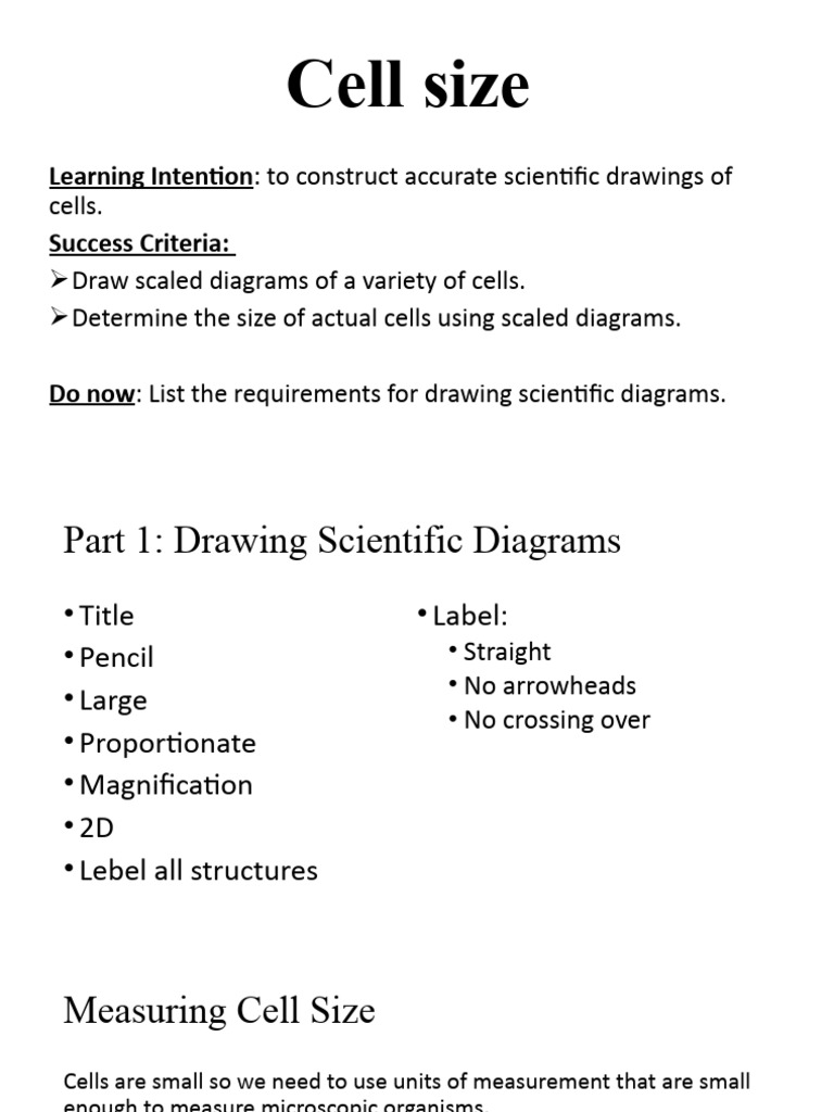 Scientific Cell Drawing Guide | PDF | Home & Garden