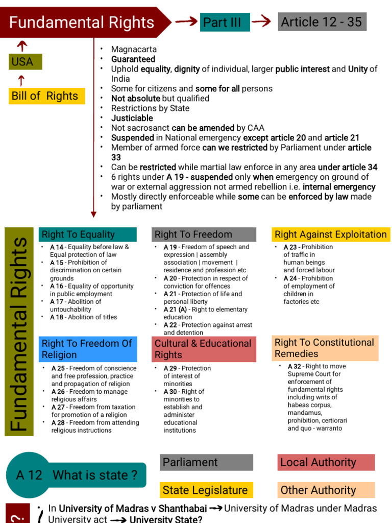 Fundamental Rights | PDF | Government | Human Rights