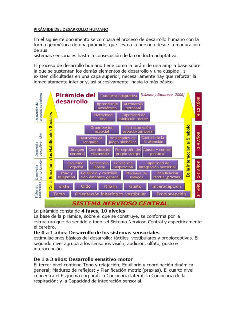 Pirámide Del Desarrollo Humano | PDF | Cerebro | Percepción