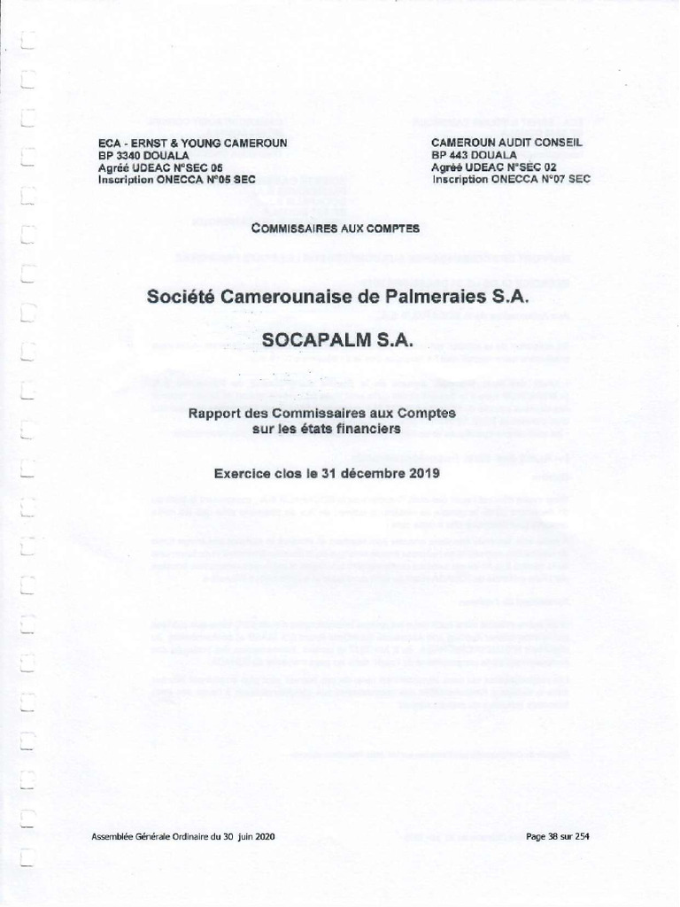 Etats-financiers-SOCAPALM-2019 | PDF