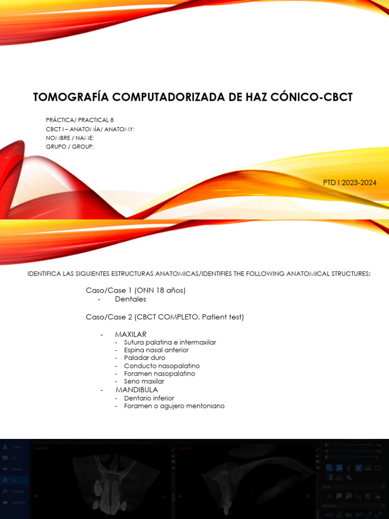 Anatomía y Medición en CBCT Dental | PDF | Anatomia animal | Anatomía