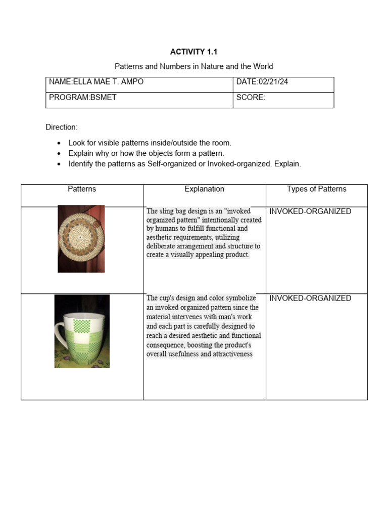 Activity1.1 Ampo | PDF