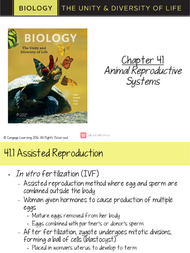 Animal Reproductive Systems: © Cengage Learning 2016. All Rights ...