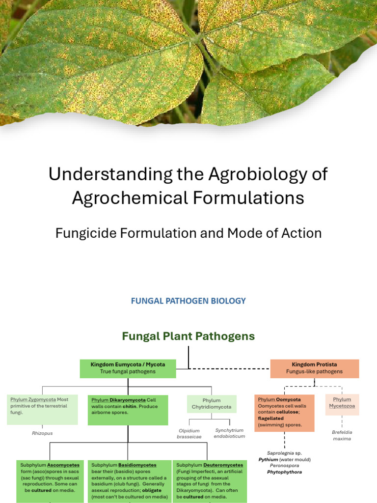 Fungicide Formulation and Mode of Action 1710748609 | Download Free PDF ...