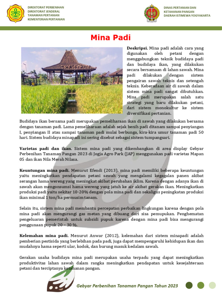 Keuntungan dan Kelemahan Mina Padi | PDF