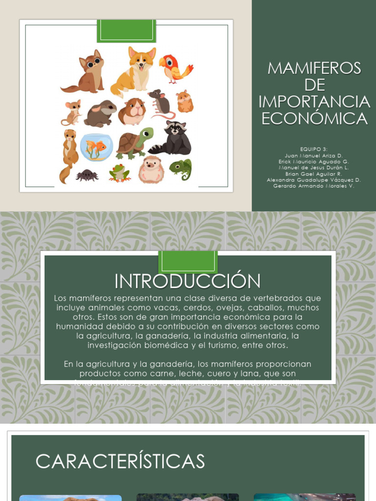 Importancia económica de los mamíferos | PDF | Ciencia y matemáticas