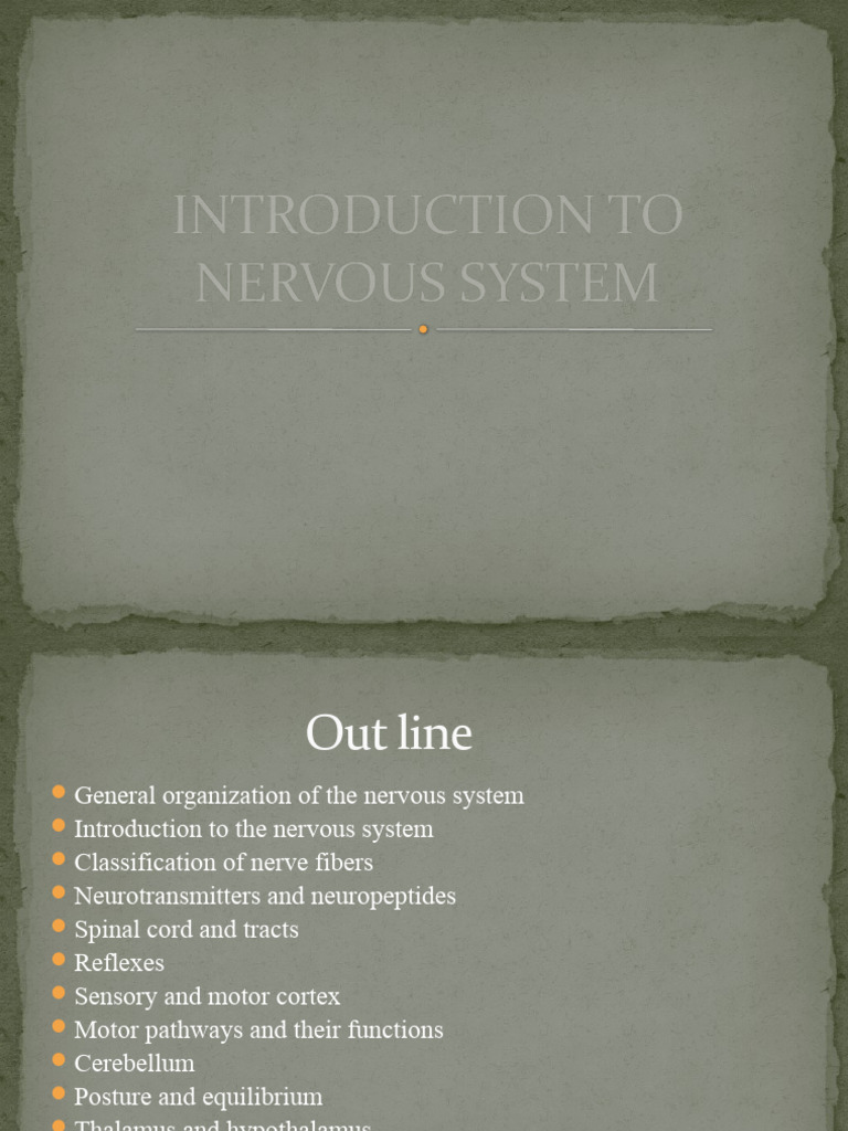 INTRODUCTION TO NERVOUS SYSTEM | PDF | Neuron | Nervous System