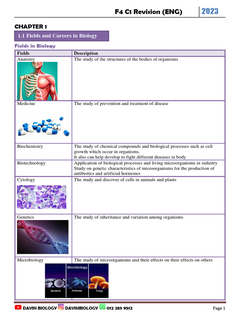 F4 C1 Revision ENG 2023 | PDF | Anatomical Terms Of Location | Biology