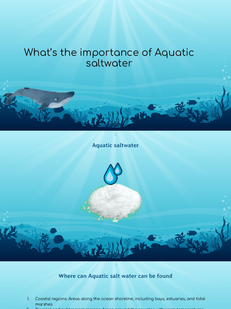 Thaisa SlidesCarnival | PDF | Aquatic Ecosystem | Oceans