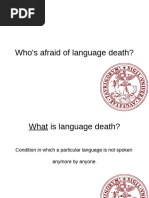 The Pirahã Language | PDF | Linguistics | Tone (Linguistics)