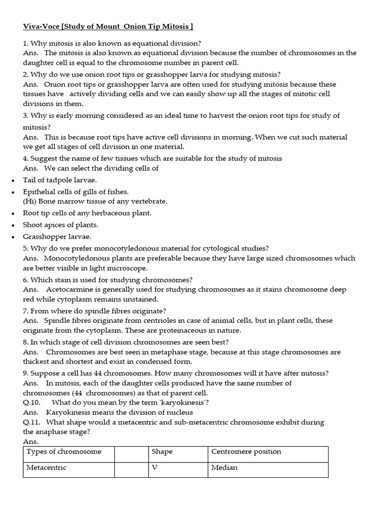 Viva Voce 4 Pdf Mitosis Meiosis