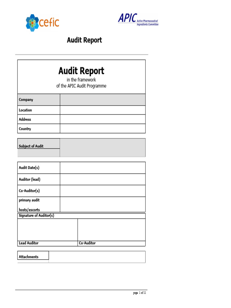 APIC Audit Report Overview and Findings | PDF | Auditor's Report | Audit