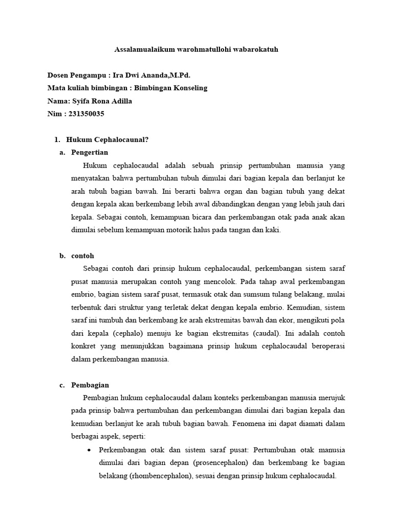 Syifa Rona Adilla Tugas BK | PDF