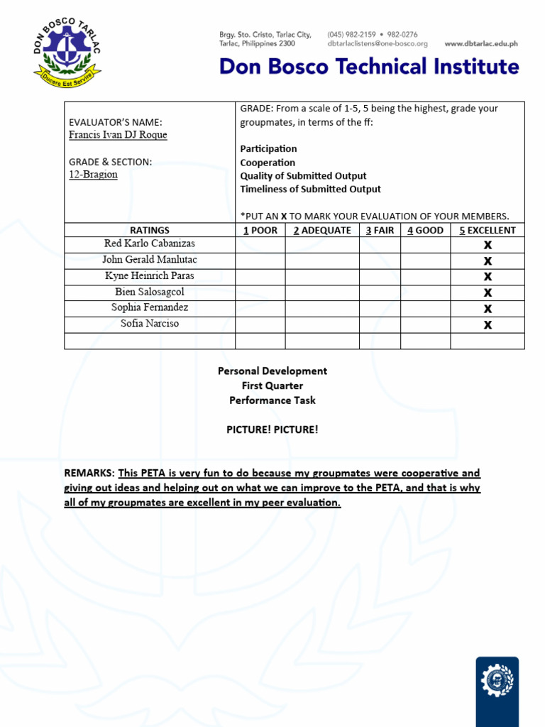 PerDev - PeTa - Peer Evaluation - Roque | PDF