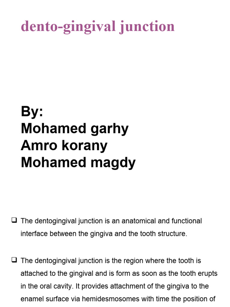 Dentinogingival-Junction - 1 | PDF | Epithelium | Dental Anatomy