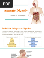 Anatomia, Irrigacion, Inervación Del Esofago y Estomago | PDF ...